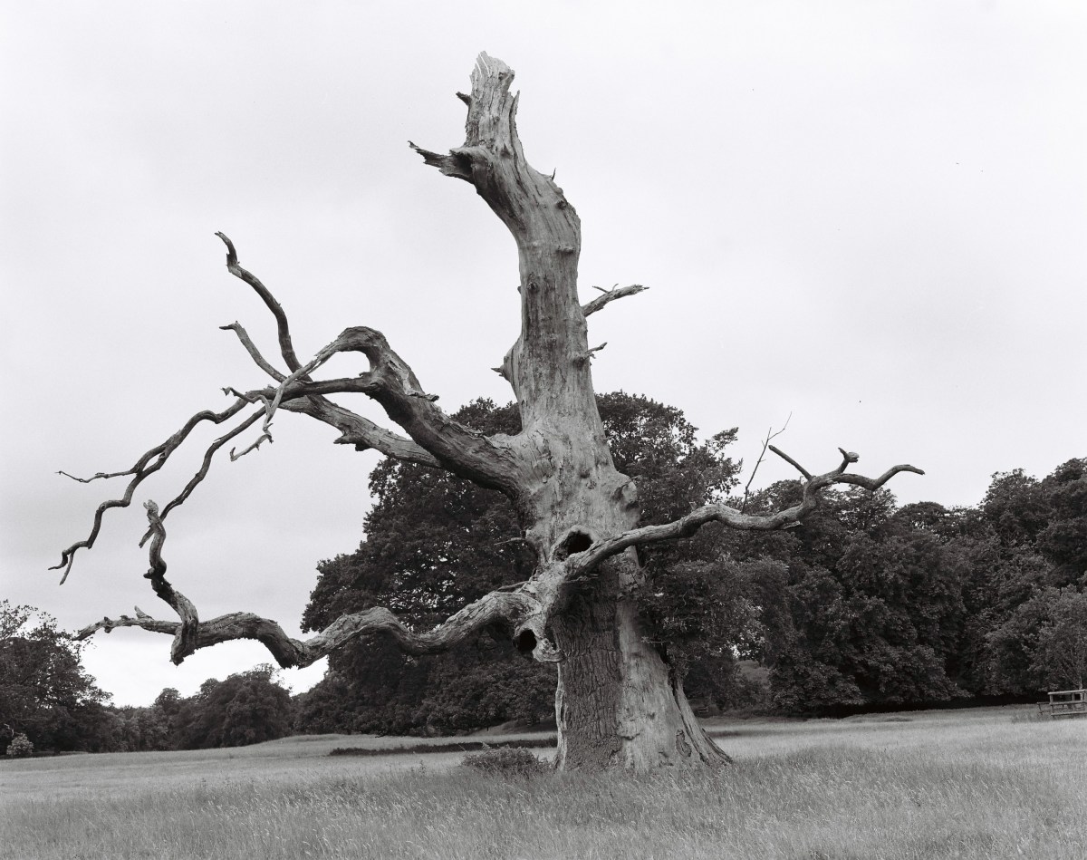 Benjamin Price – Creative Producer in Arts & Music